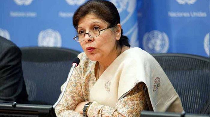 اداروں نے آئی ایم ایف اہداف پر عملدرآمد کیا، کارکردگی اطمینان بخش ہے نگران وزیر خزانہ