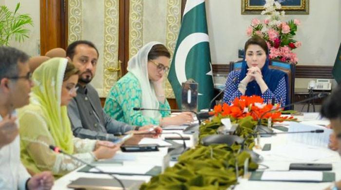 وزیر اعلیٰ پنجاب مریم نواز نے چیف منسٹر روشن گھرانا پروگرام کی منظوری دیدی